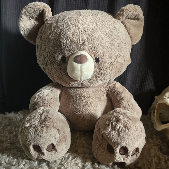 Gund | Toys | Kia Teddy Bear | Poshmark